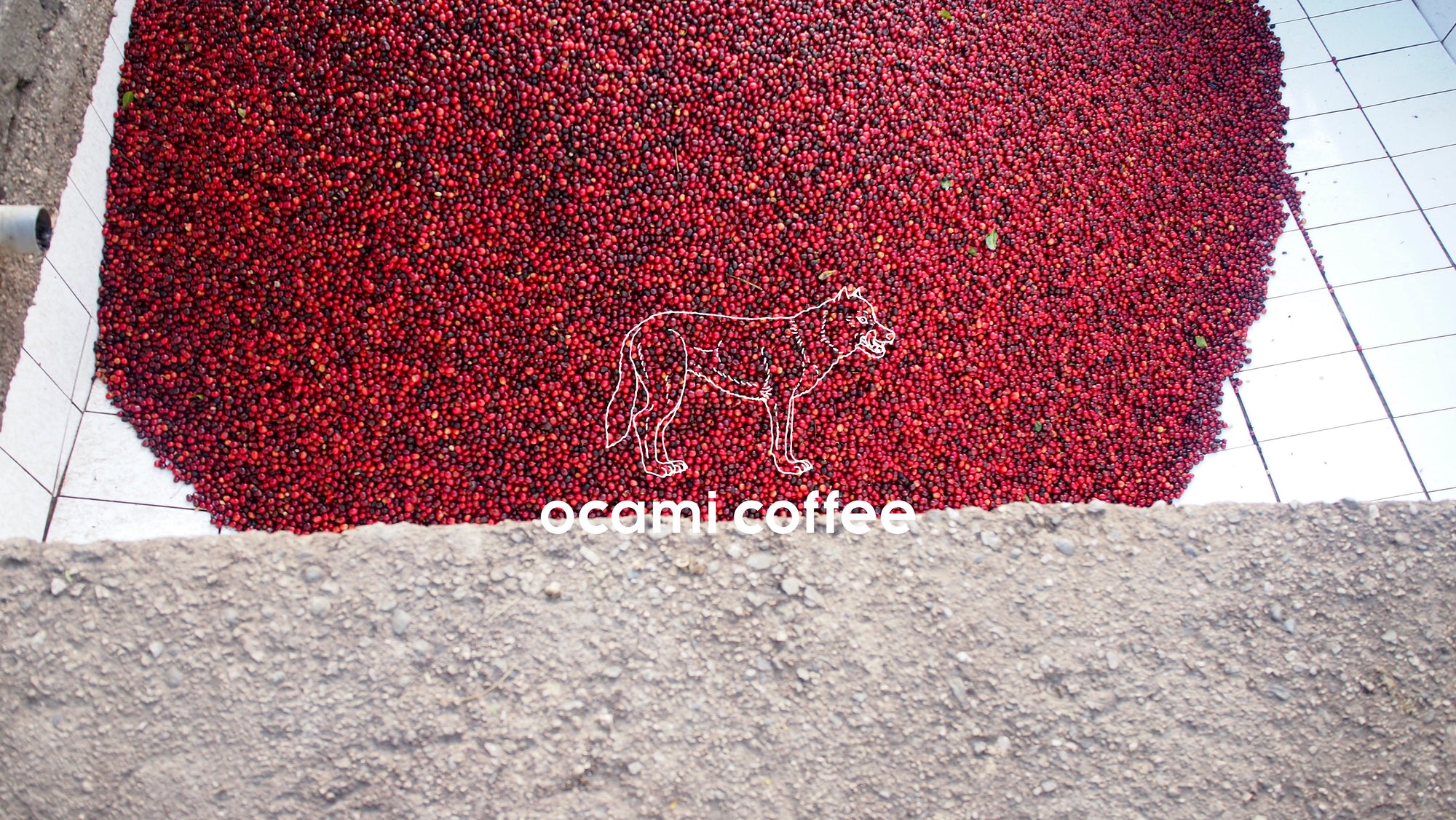 ocami coffee